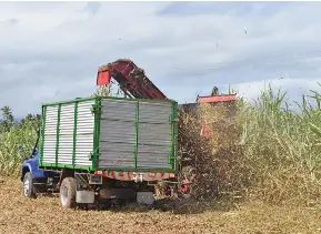 Mechanical harvester helps cane farmers - PressReader