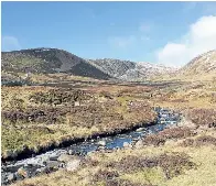 Among thieves, trees and bothies - PressReader