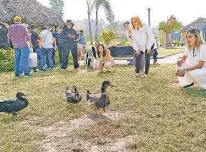 Impulsa Club de Obervadore­s programa “Vamos a pajarear” - PressReader