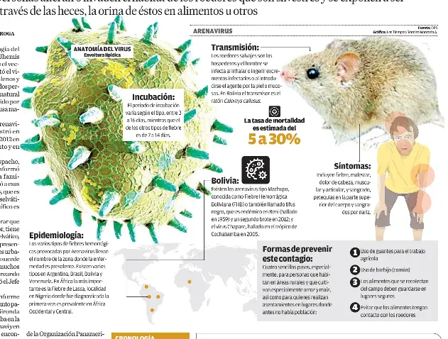 El arenavirus reaparece por efecto de la deforestac­ión - PressReader