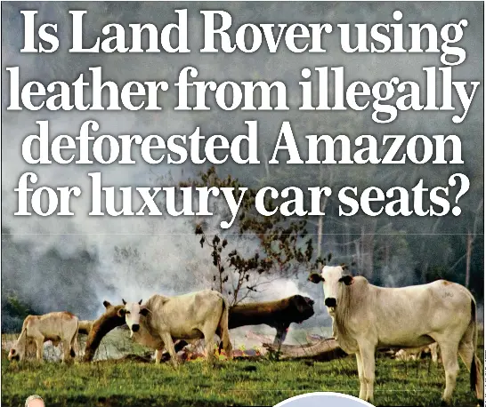 Is Land Rover using leather from illegally deforested Amazon for luxury car seats? - PressReader