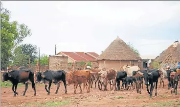 WATER CRISIS HITS GIYANI - PressReader