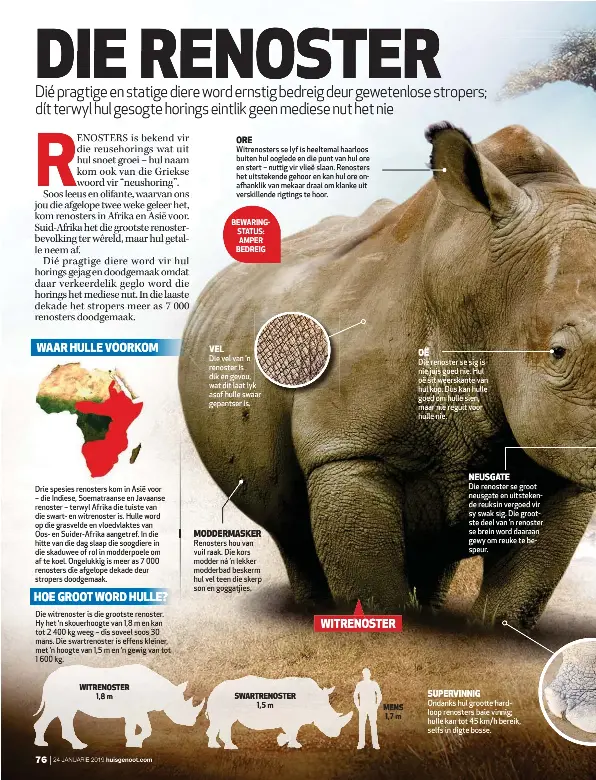 DIE RENOSTER - PressReader