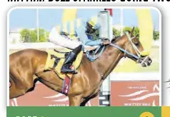 RHYTHM BUZZ SPARKLES GOING TWO TURNS - PressReader