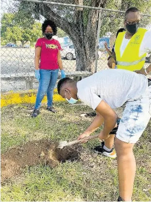 Kiwanians plants roots - PressReader