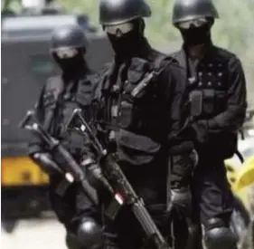 ‘Safer Punjab’: CTD lassoes 23 terrorists in province-wide operation - PressReader