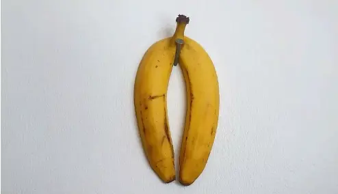 Why is Scandinavi­a’s largest internatio­nal art fair going bananas for Thyra Hilden’s ‘Equal ...