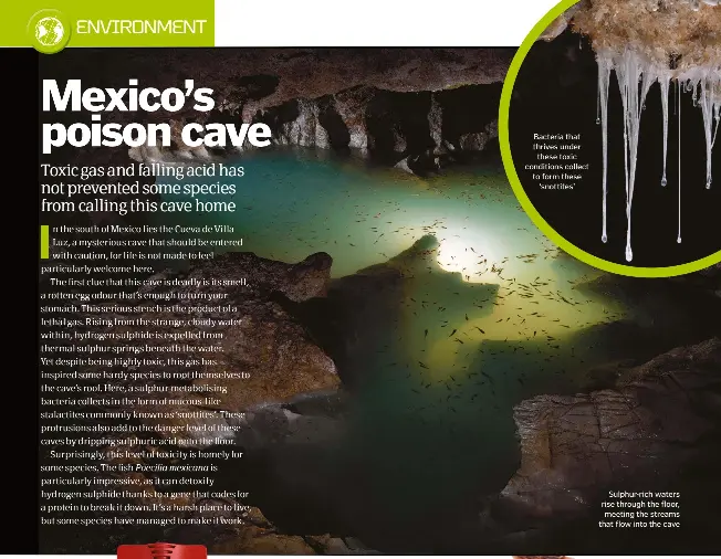Mexico’s poison cave - PressReader