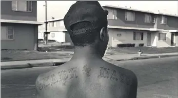 How four gangs in Watts brokered a historic peace treaty - PressReader