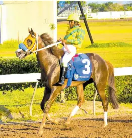 Innis slapped with lengthy ban, fine - PressReader