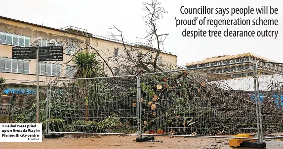 City leader defends decision to fell trees - PressReader