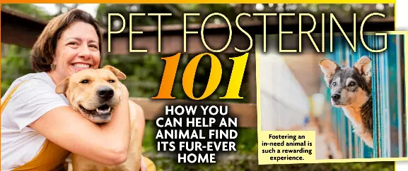 PET FOSTERING 101 - PressReader