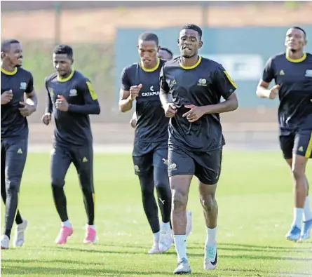 Bafana can create another Afcon surprise – Broos - PressReader