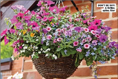 Baskets bring some serious kerb appeal | Stirling Observer | PressReade­r