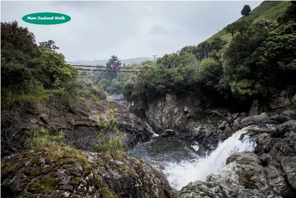 Beyond Motu Falls - a magic breathing and conservati­on space - PressReader