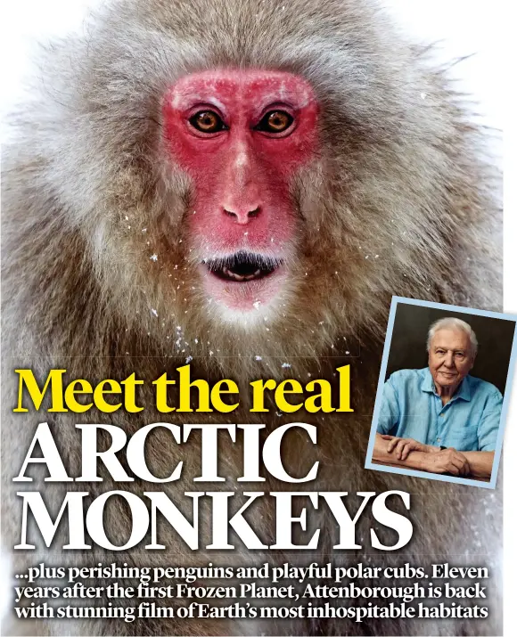 Meet the real ARCTIC MONKEYS - PressReader