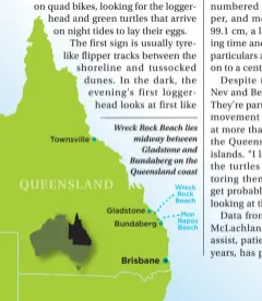 The Turtles of Wreck Rock Beach - PressReader