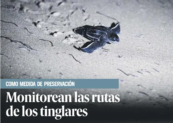 Monitorean las rutas de los tinglares - PressReader