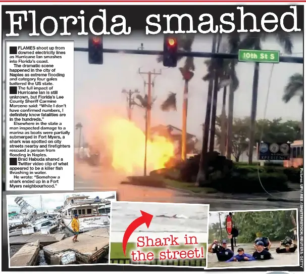 Florida smashed - PressReader