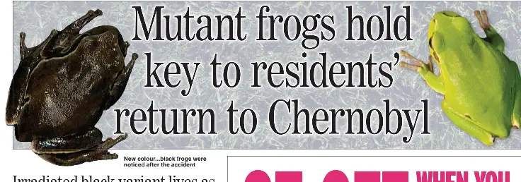 Mutant frogs hold key to residents’ return to Chernobyl - PressReader