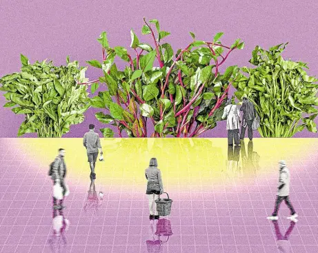 3 local leafies you need to know about - PressReader