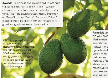 Dié maand in jou tuin - PressReader