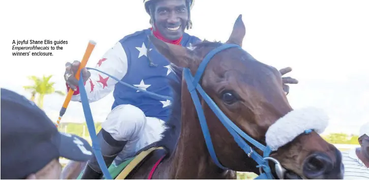 RACE DAY REVIEW — SUNDAY, DECEMBER 18, 2022 - PressReader