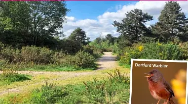 PARLEY COMMON - PressReader