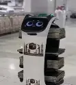 Saudi Introduces AI- Powered Manara Robot to Enhance Hajj 1446 AH ...