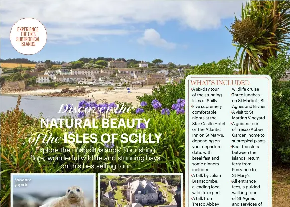 Discover the NATURAL BEAUTY of the ISLES OF SCILLY - PressReader