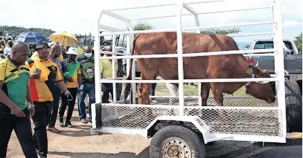 Amakhansel­a abeyocela izinhlanhl­a kuZuma - PressReader