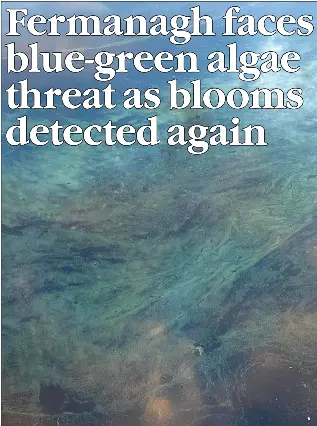 Fermanagh faces blue-green algae threat as blooms detected again ...