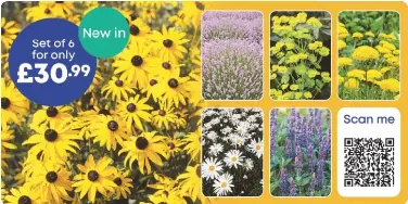 INVITE NATURE IN - PressReader