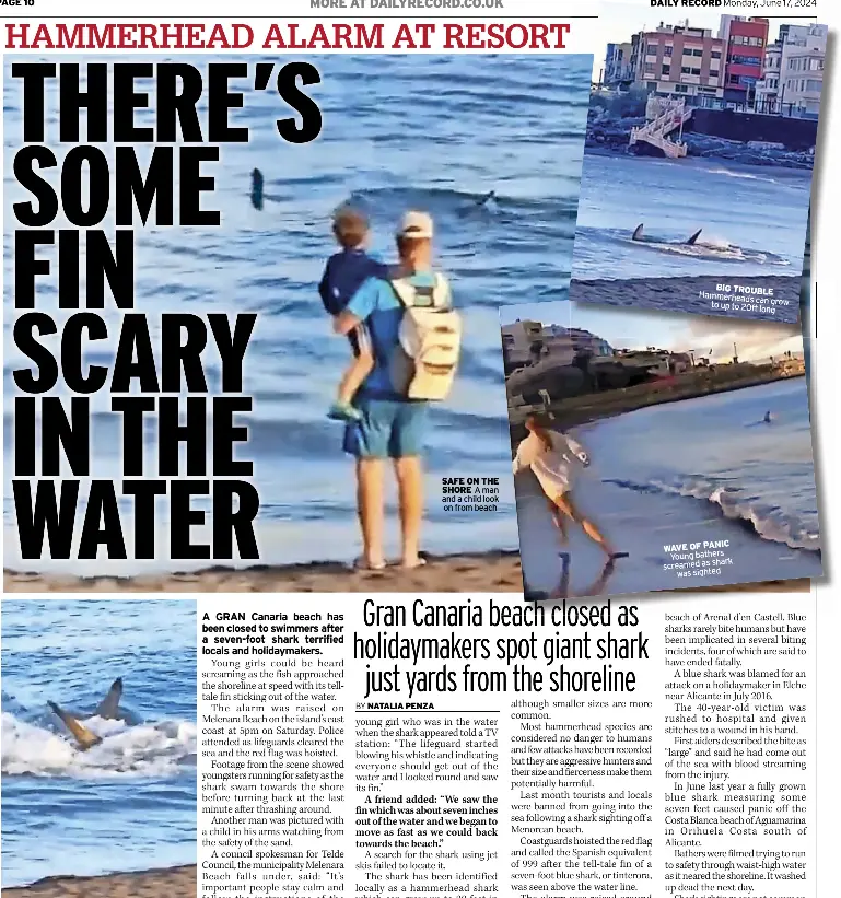 THERE’S SOME FIN SCARY IN THE WATER - PressReader