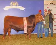 Swartland Show 2019 - PressReader