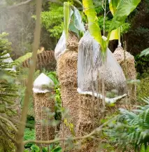 Autumn’s arrived... - PressReader