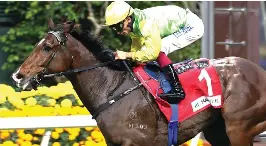 Mile tempo to suit Tomodachi - PressReader