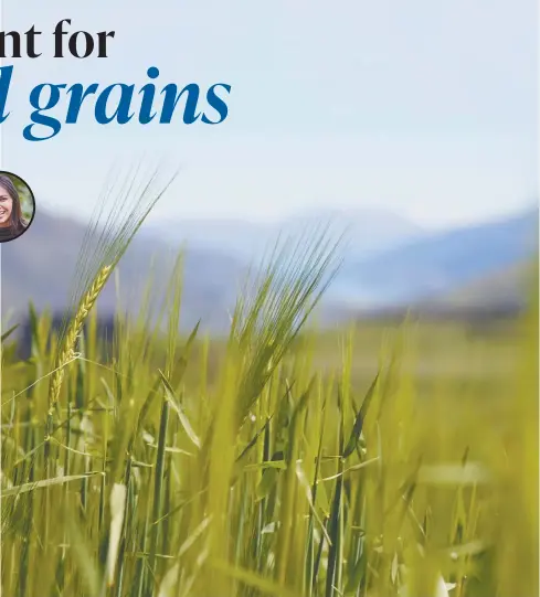 An argument for capital grains - PressReader