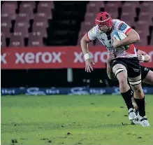 Nothnagel back to bolster Lions - PressReader