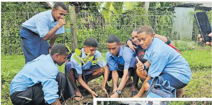 Forests under threat - PressReader