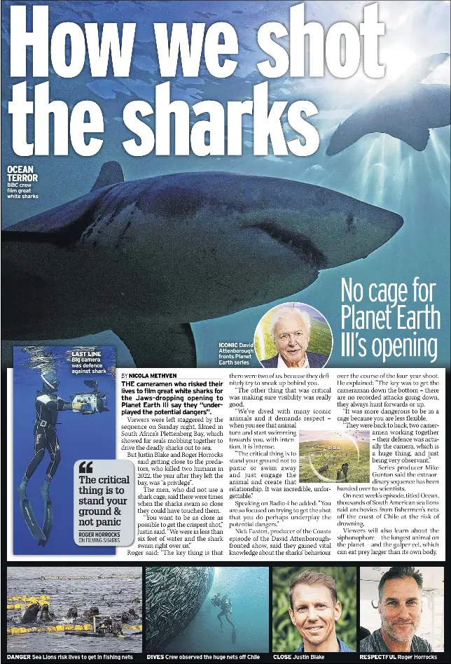 How we shot the sharks - PressReader