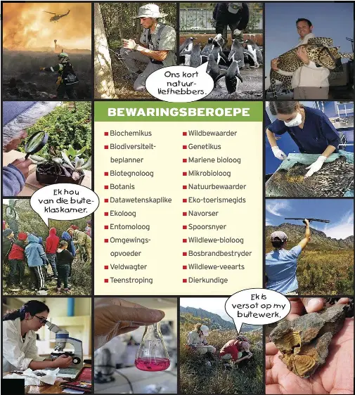 WAT IS BEWARING? - PressReader