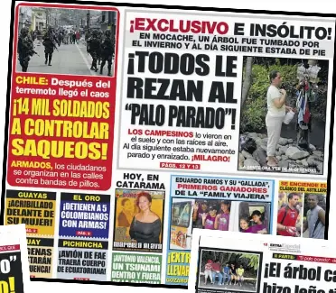 ¡ADORABAN A UN PALO PARADO! - PressReader