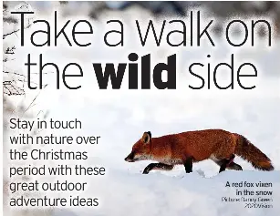 Take a walk on the wild side | Bristol Post | PressReade­r