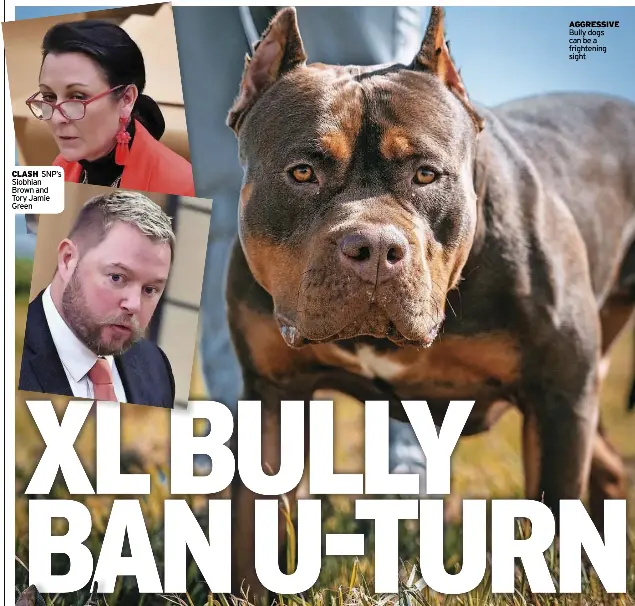 XL BULLY BAN U-TURN - PressReader