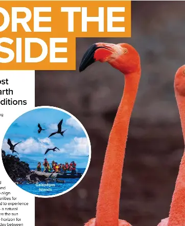 EXPLORE THE WILD SIDE - PressReader