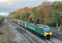 GBRf and ROG Stadler locomotive­s mark new milestones - PressReader