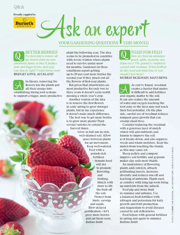 Ask our experts - PressReader