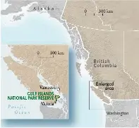 Why coastal First Nations in B.C. are reviving their ancient clam ...