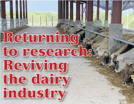 Returning to research: Reviving the dairy industry - PressReader